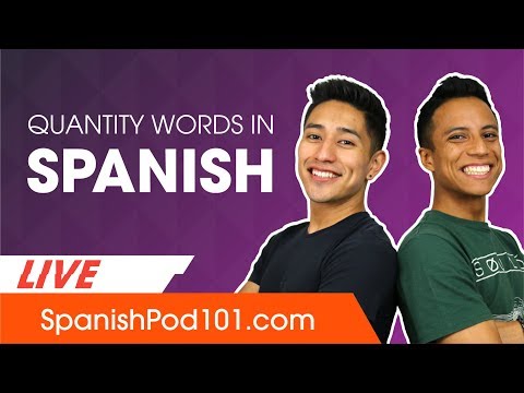 How to Use Quantity Words in Spanish Sentences