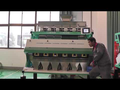 Sortex Machine at Best Price in India