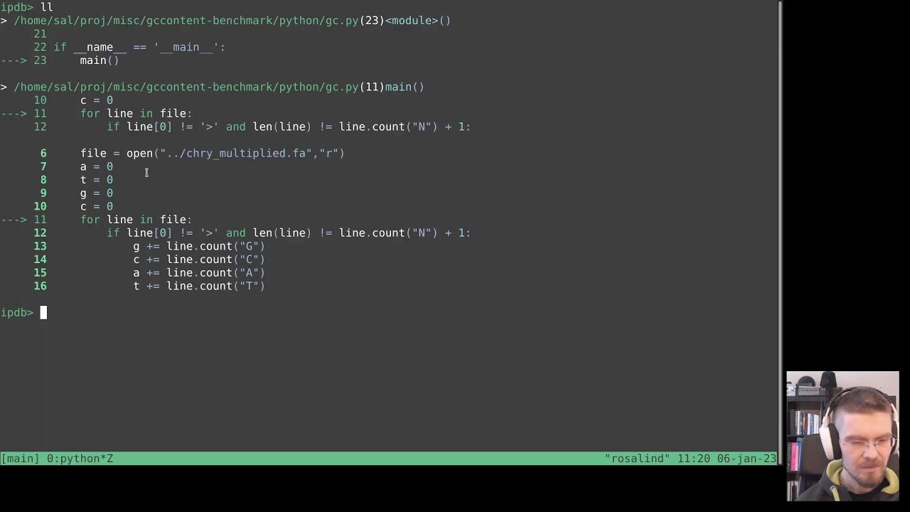 Debugging python on the commandlien with ipdb