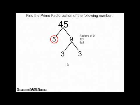 How to find the prime factorization of number