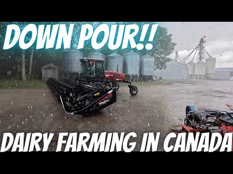 The Shot Of Rain We So Desperately Needed!!!