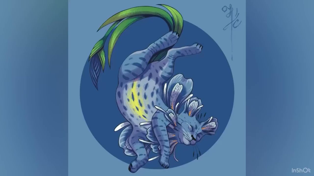 Iris flower cat speed paint
