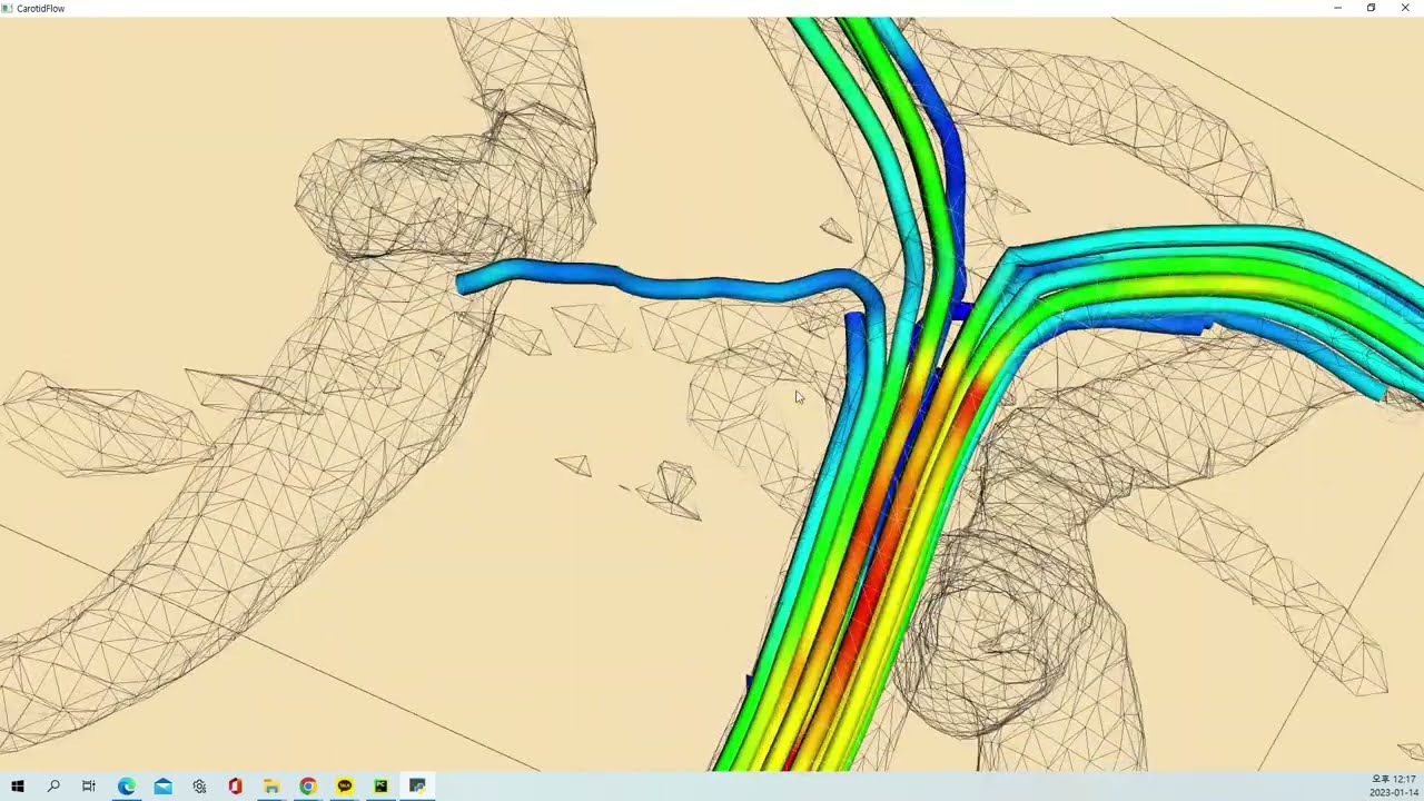 VTK Python Example - CarotidFlow