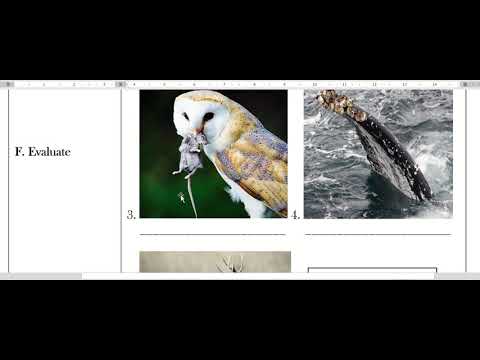 Module5_2 of 2_Lesson Planning