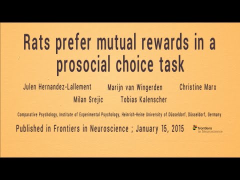 VA. Rats prefer mutual rewards in a prosocial choice task