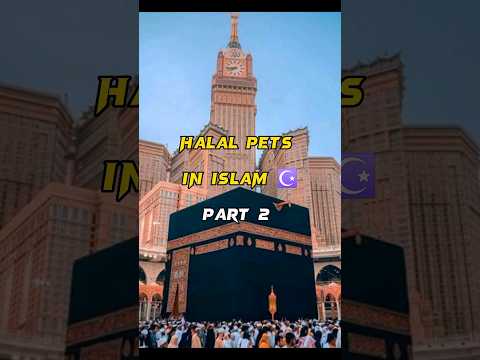 Halal Pets In Islam ☪️ Part 2 #islam #youtubeshorts #viral #trending #islamic #shorts #pets #halal