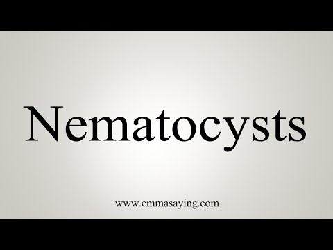 How To Say Nematocysts