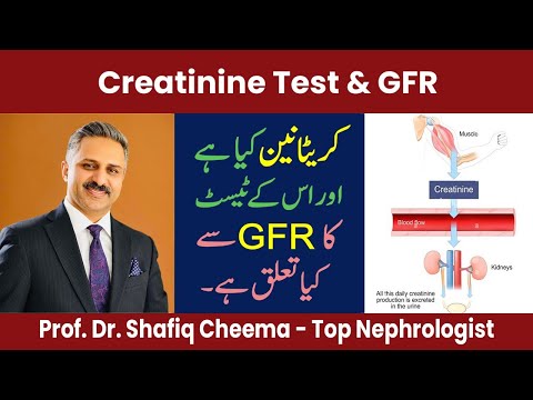 Creatinine Test & estimated GFR