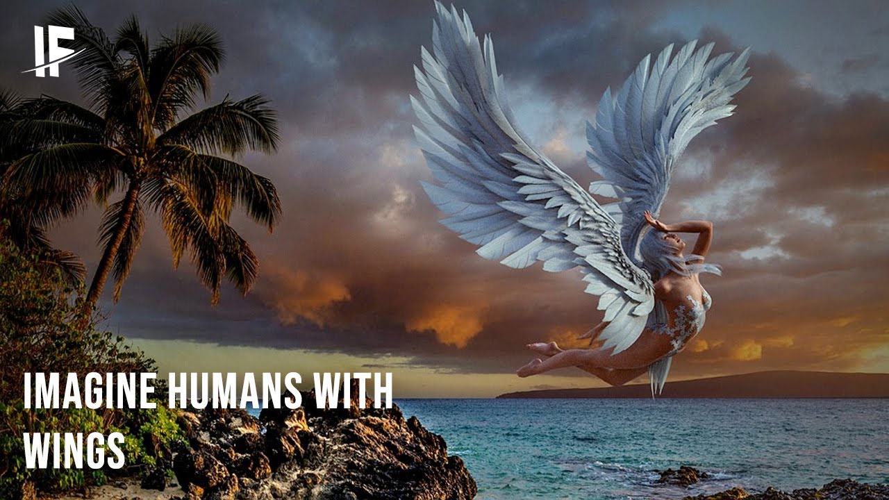 Imagine if humans have wings