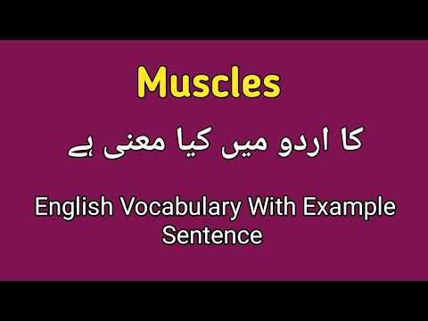 Muscles meaning in Urdu | muscles meaning in English to Urdu