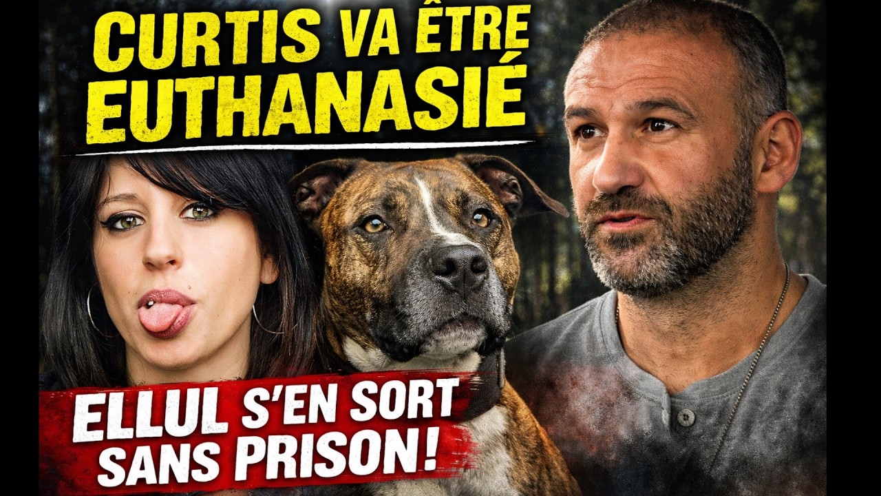 Elisa Pilarski : Christophe Ellul condamné avec sursis, euthanasie du ...