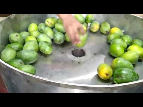 Raw Mango Cutting Machine - Green Mango Cutting Machine Latest Price ...