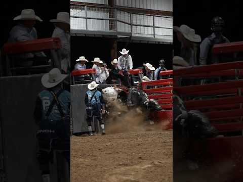 VIEWER DISCRETION ADVISED #bullriding #rodeo