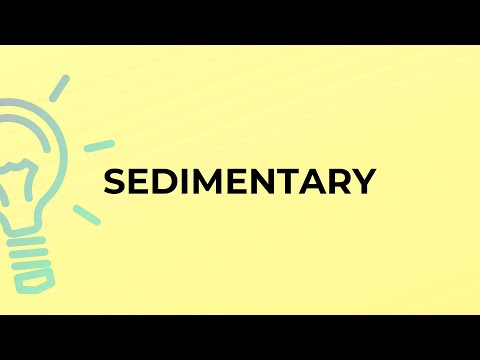 What is the meaning of the word SEDIMENTARY?