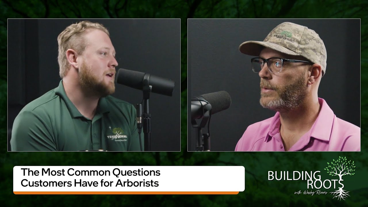 The Most Common Questions Customers Have for Arborists 🎙 Proper Tree Care & Maintenance