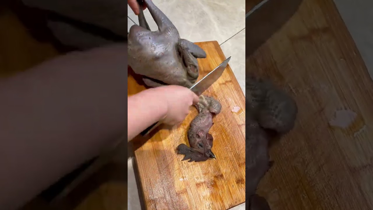 Iu87675436 mini rotary tillage and ridging all-in one food short view #travel#food #cutting