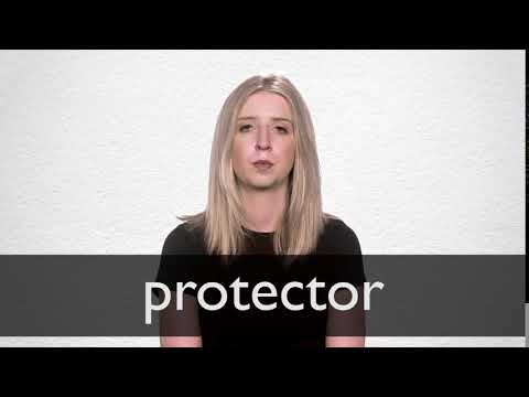 PROTECTOR definition and meaning | Collins English Dictionary