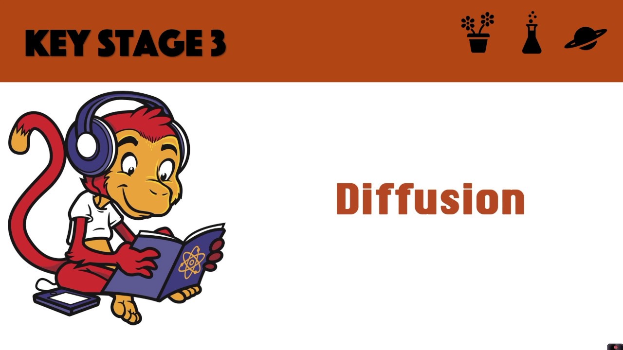 Diffusion of particles