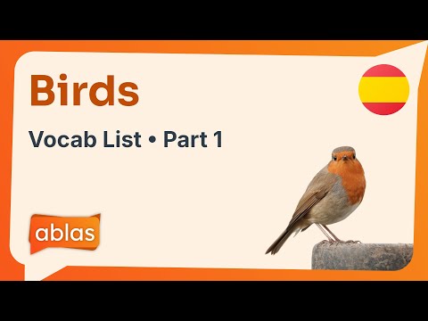 Birds | Spanish Vocabulary List (Part 1)