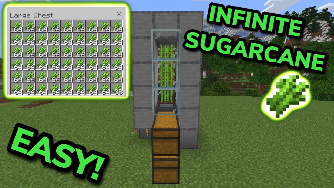 EASIEST 1.20 FAST AUTOMATIC SUGARCANE FARM TUTORIAL in Minecraft Bedrock (MCPE/Xbox/PS4/Switch ...
