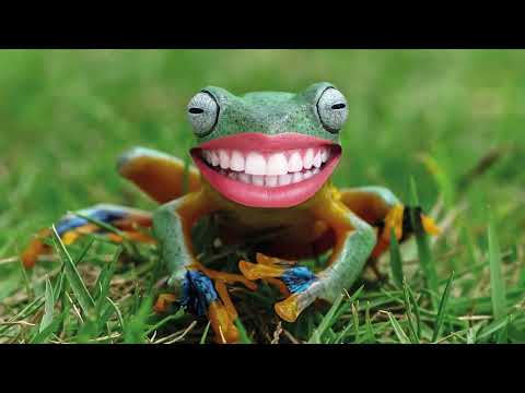 20 Interesting Facts About Animals