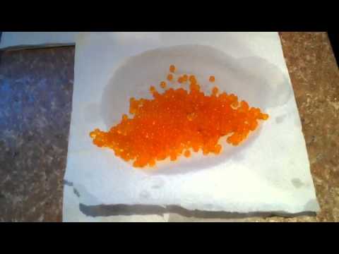#1 BEST RECIPE FOR SALMON AND STEELHEAD / RAINBOW ROE (EGGS)!!!!