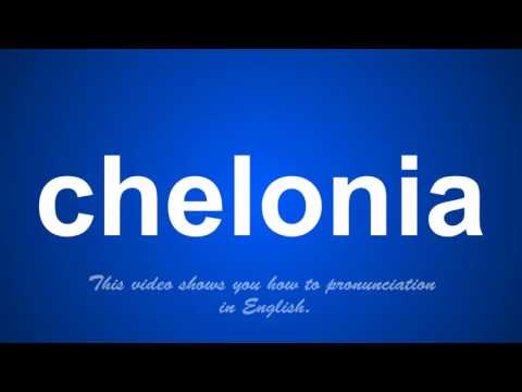 the correct pronunciation of chelonia in English.