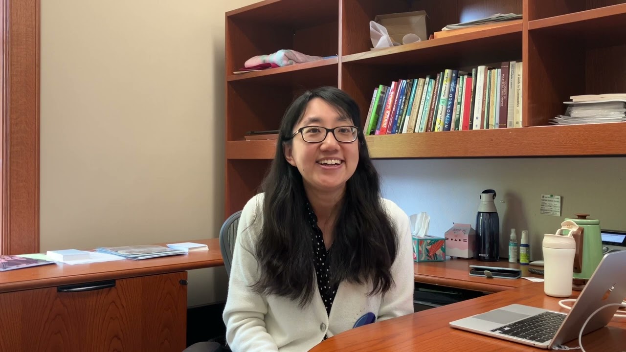 Ran Liu: Gender and Racial Inequalities in School-to-Work Linkage