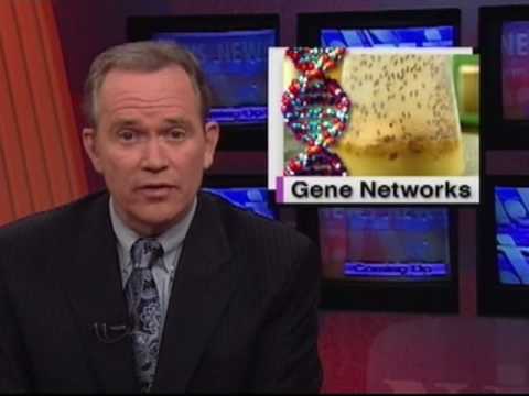 Gene Networks - NJN News Science & Technology Report