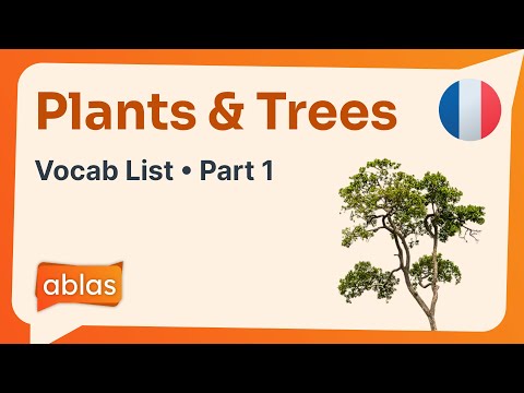 Plants & Trees | French Vocabulary List (Part 1)
