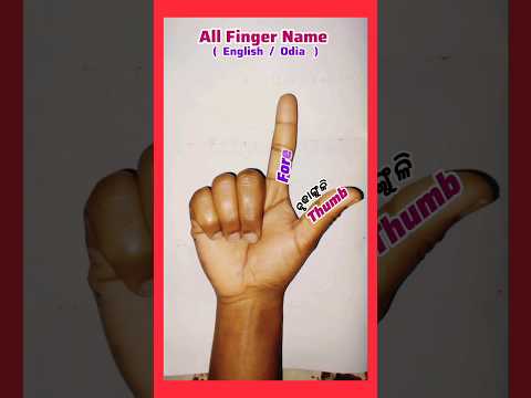 All finger name 📚 Finger name in english and odia #shortsvideo #shortvideo #shorts#short #ytshorts