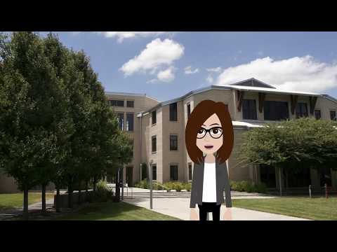 STAN Degree Progress