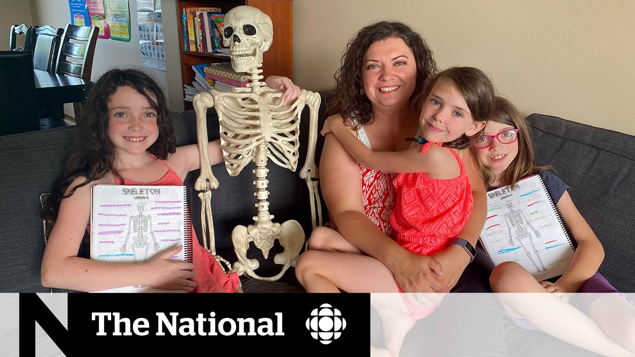 Interest in home schooling rises during pandemic