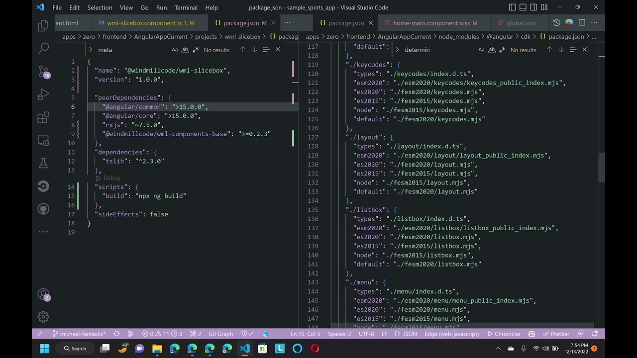Adding github repo your npm package