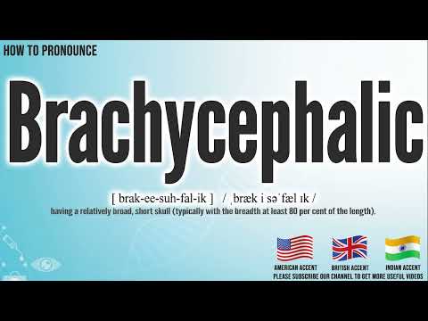 Brachycephalic Pronunciation | How to Pronounce (say) Brachycephalic CORRECTLY | Medical Meaning