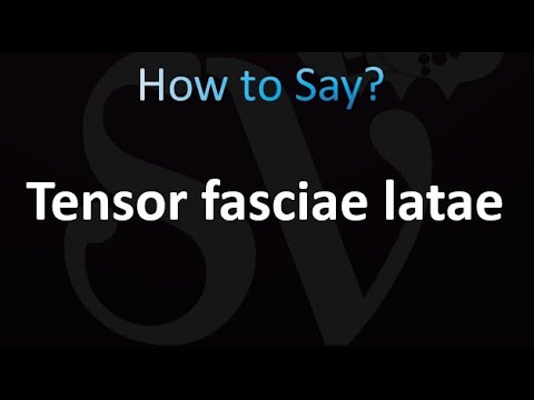 How to Pronounce Tensor fasciae latae