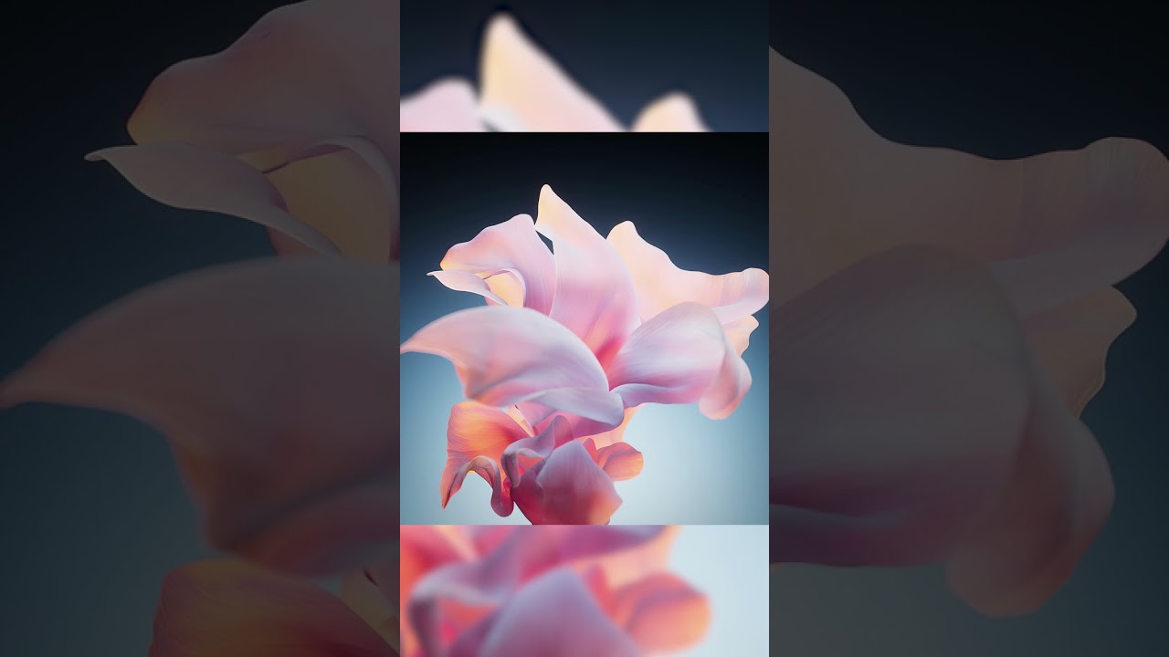 Motion inspiration - Flowers 7