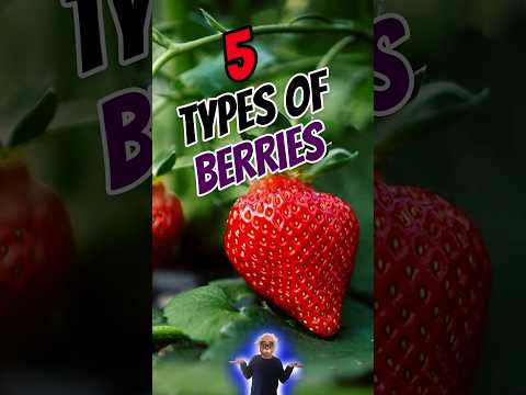 5 Different Types Of Berries In English #Shorts #LearnEnglish