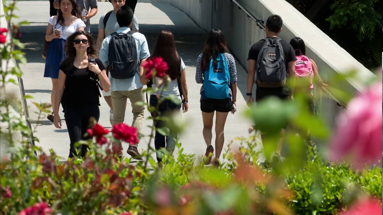 Accommodation Letters at the DSC