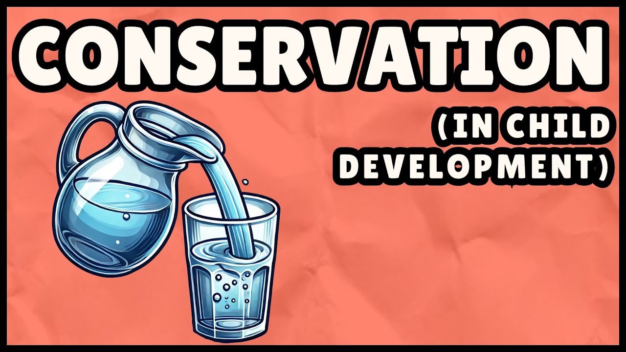 What is Conservation? (Psychology & Child Development)