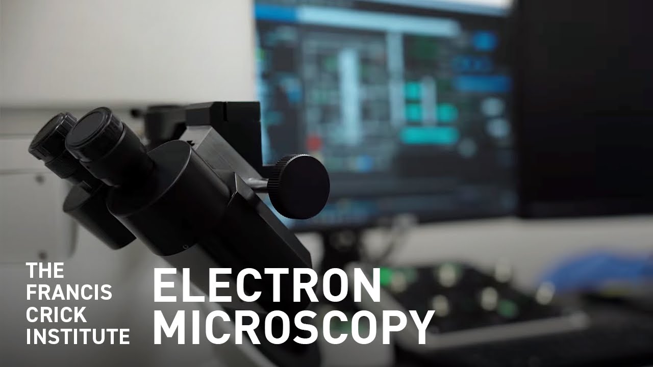 Seeing the Invisible with Electron Microscopy