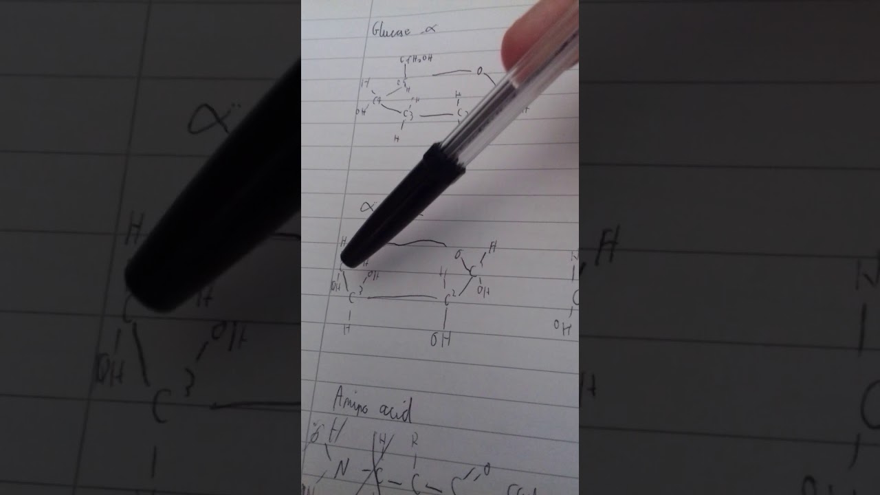 Kinda Explains: hexose and pentose sugars