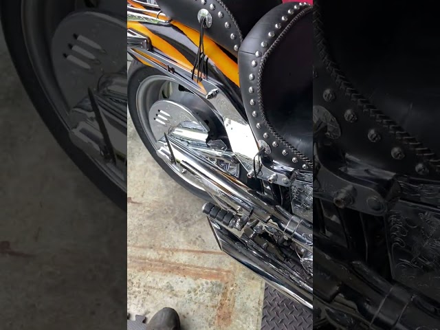 1987 Harley-Davidson® FXSTC Softail® Custom for Sale in Hampton Falls ...