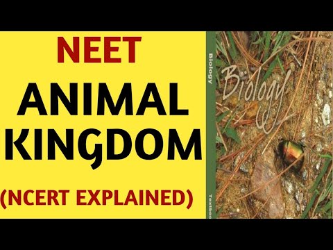 NCERT Explained for NEET: Animal Kingdom Video Lecture