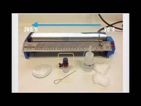 Utilisation du banc Köfler | Physique Chimie - lycée pierre poivre
