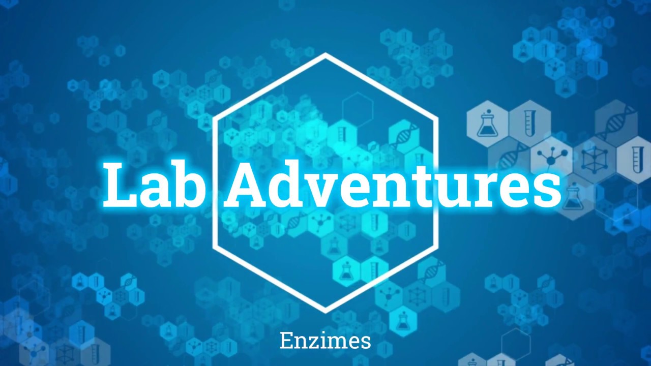 Lab 7 - Enzymes Experiment