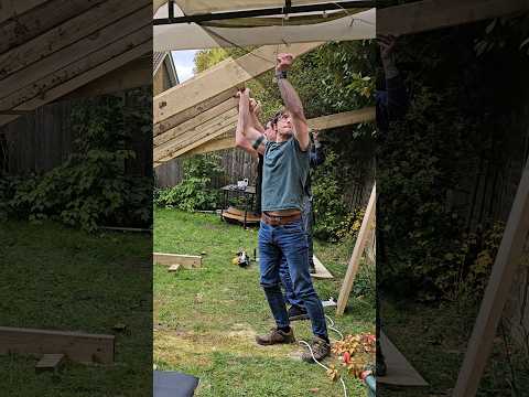 We built a climbing wall in a day #bouldering #climbing #project #homeworkout #fitness