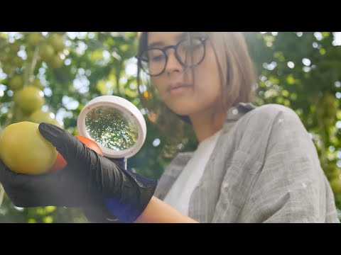 New council calls for national nutrition research moonshot