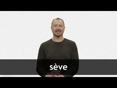English Translation of “SÈVE” | Collins French-English Dictionary