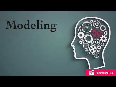 Modeling AP Psychology